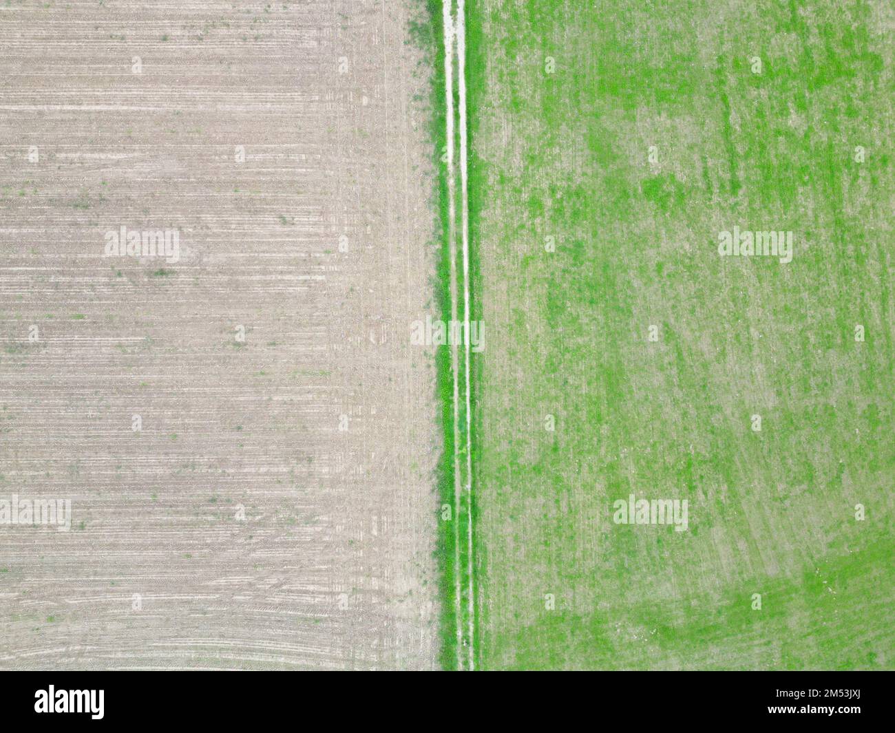 Narrow green border hi-res stock photography and images - Alamy