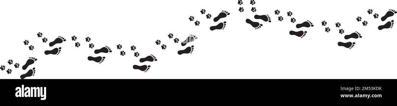 A vector of the paw and feet print tails on the white background Stock ...
