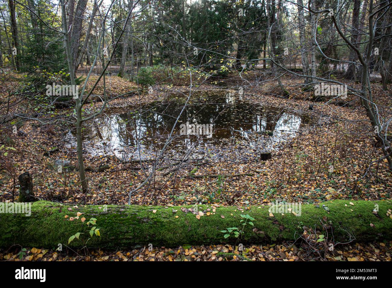 People’s park hi-res stock photography and images - Alamy