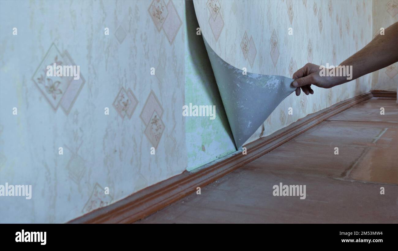 a man's hand holds a strip of old wallpaper moving away from the wall ...