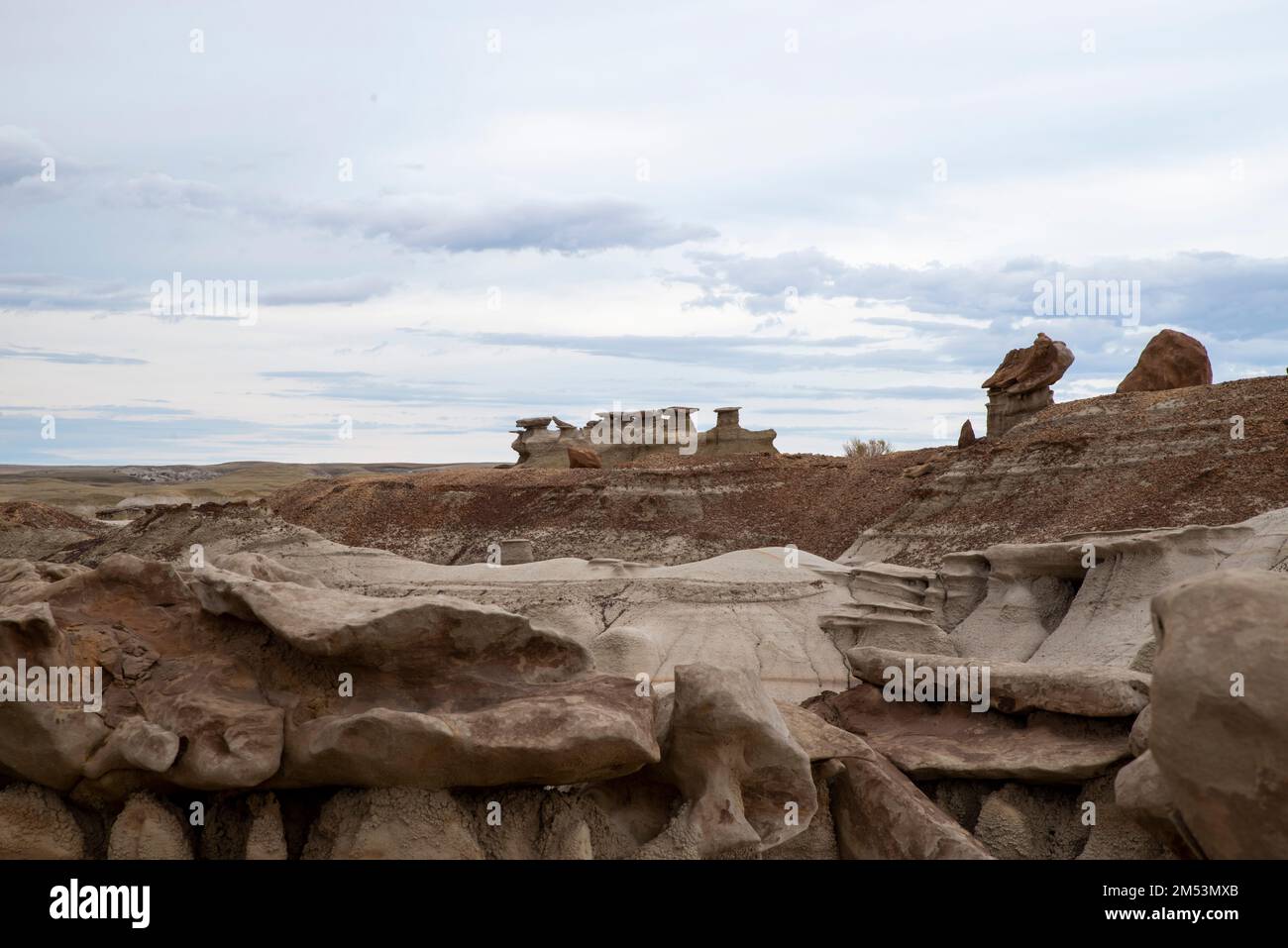 Photograph of the Bisti/De-Na-Zin Wilderness Area, a beautiful site of ...