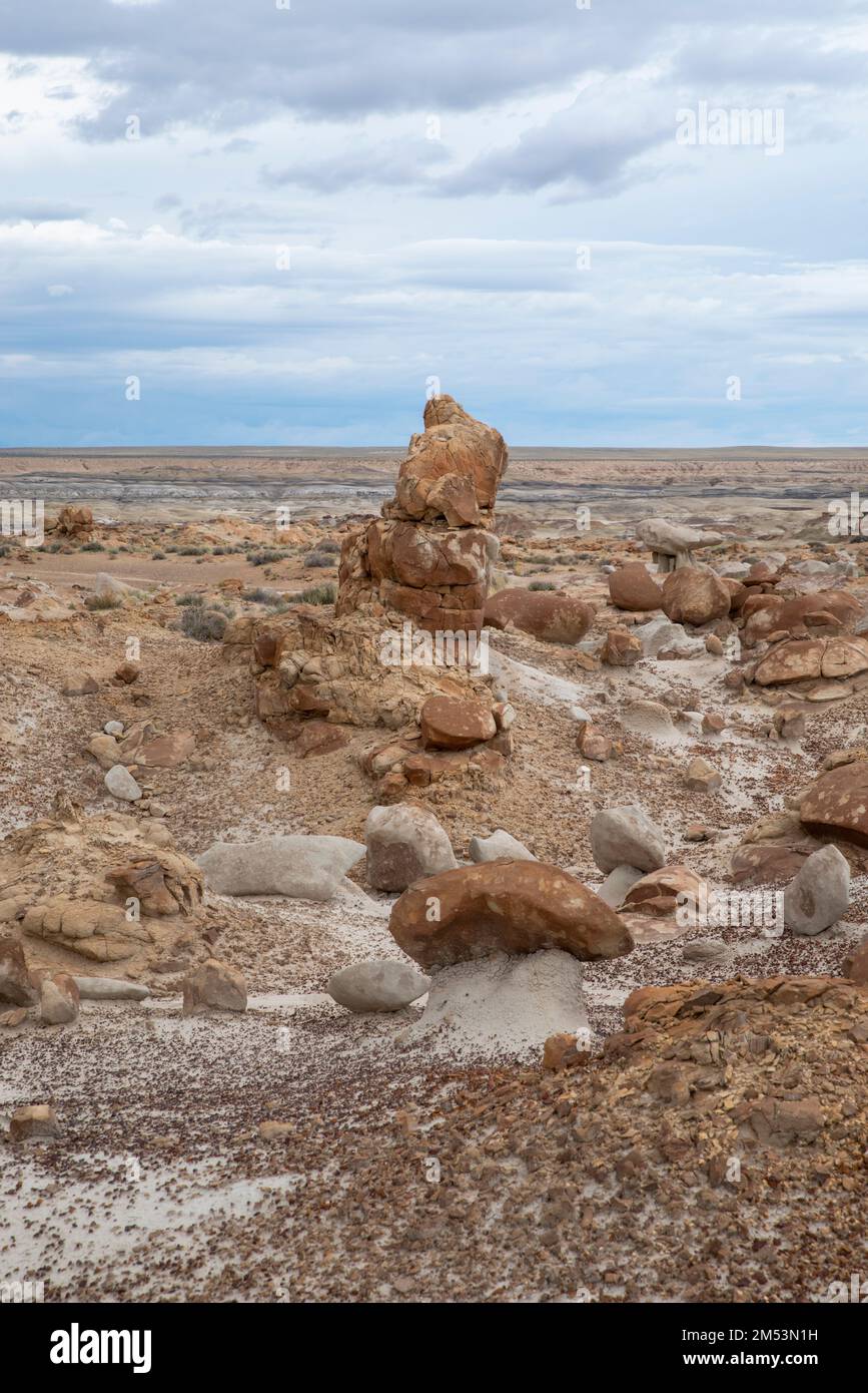 Photograph of the Bisti/De-Na-Zin Wilderness Area, a beautiful site of ...