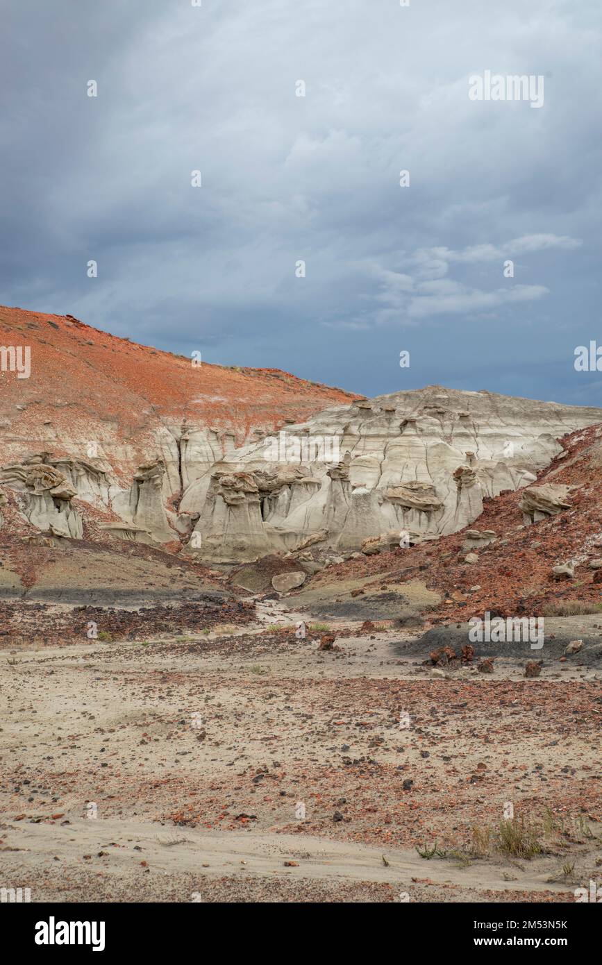 Photograph of the Bisti/De-Na-Zin Wilderness Area, a beautiful site of ...