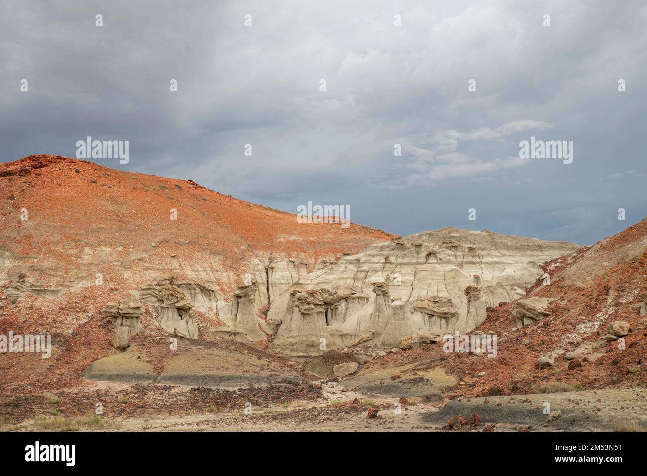 Photograph of the Bisti/De-Na-Zin Wilderness Area, a beautiful site of ...