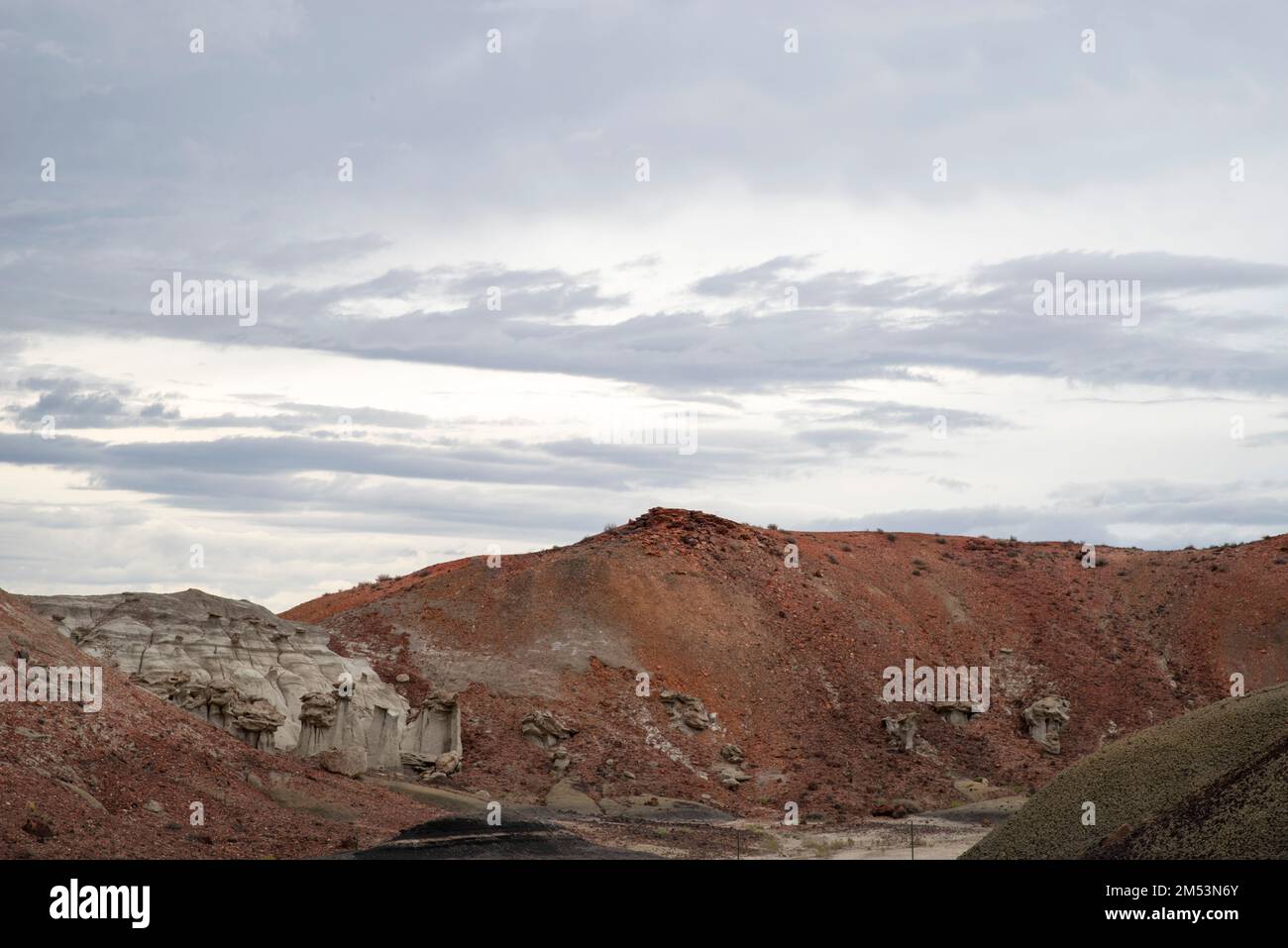 Photograph of the Bisti/De-Na-Zin Wilderness Area, a beautiful site of ...