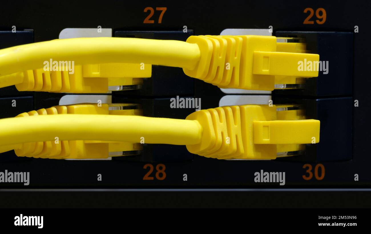 Multi Colored Network Cables Connected to Switch, network technology ...