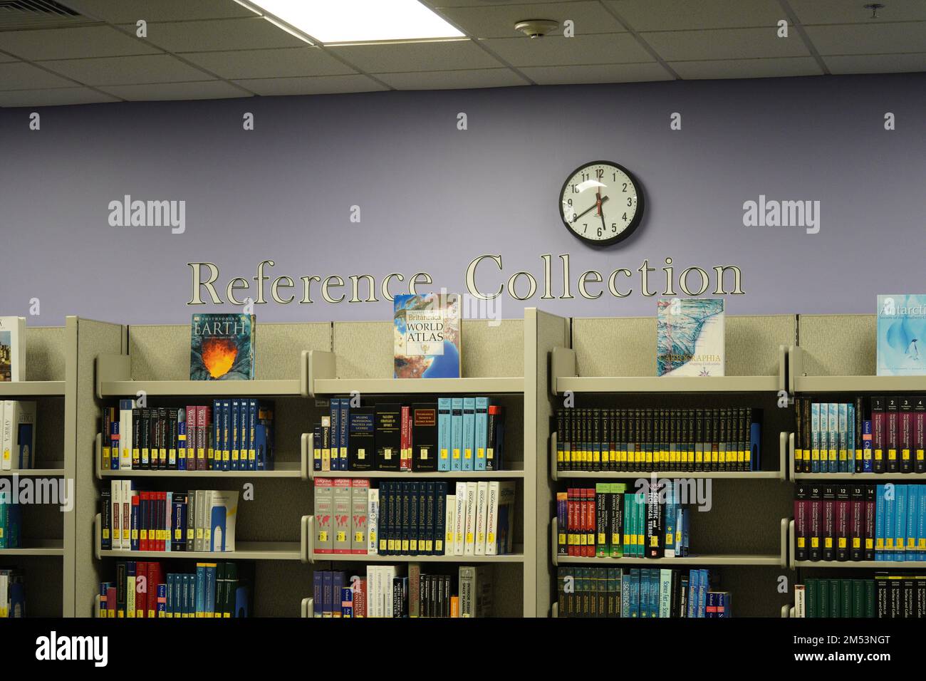 Reference collection was written extensively on the wall with bin ...