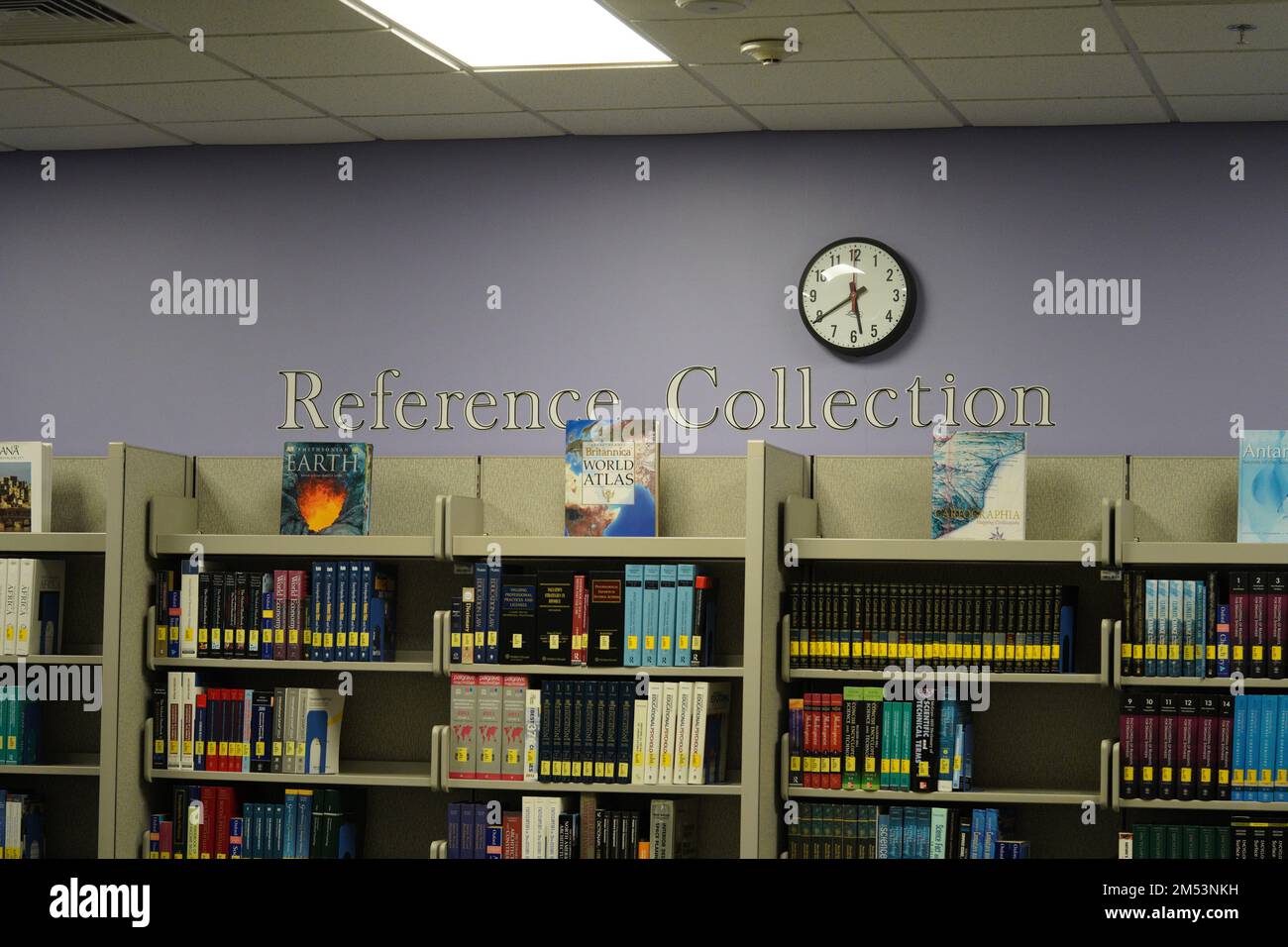 Reference collection was written extensively on the wall with bin ...