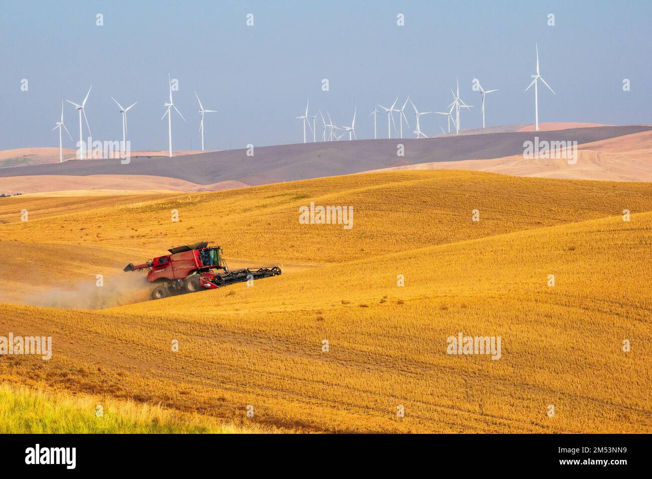 A beautiful view of a harvester working on a field against wind ...