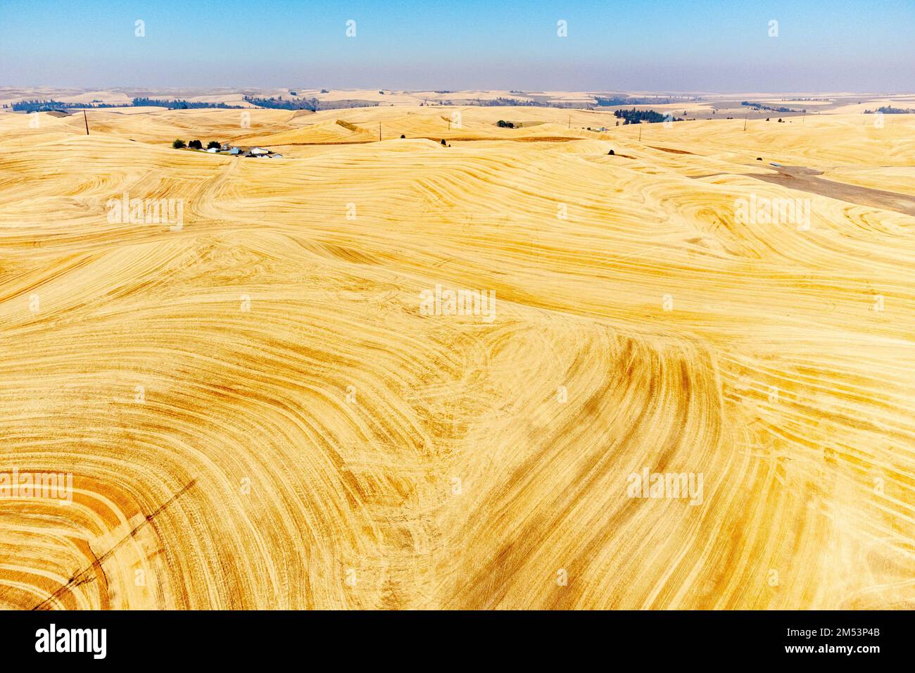 An aerial view of a harvested wheat field with a rolling hill surface ...