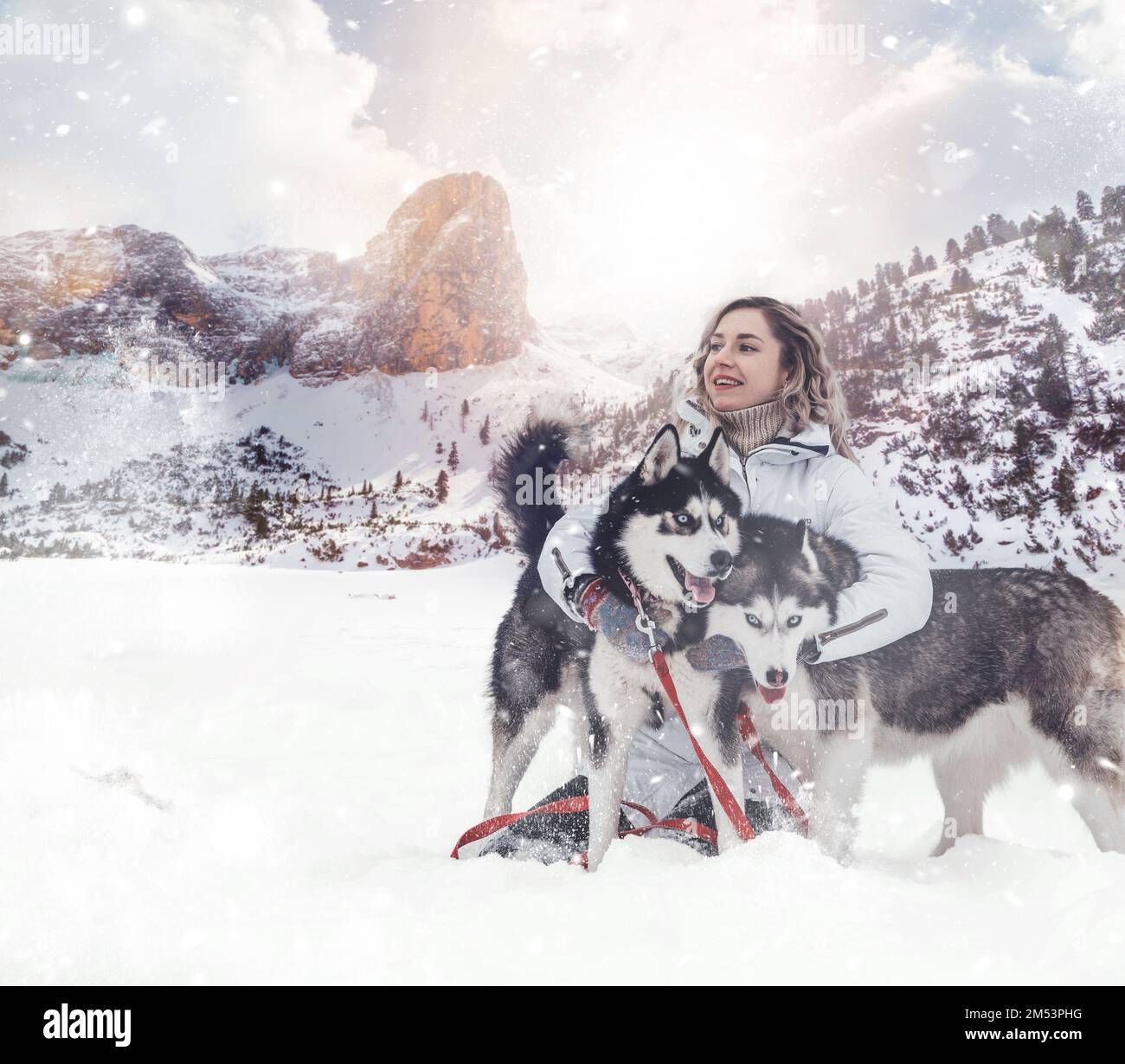 The girl rides on a sled on a sled with Siberian huskies in the winter ...
