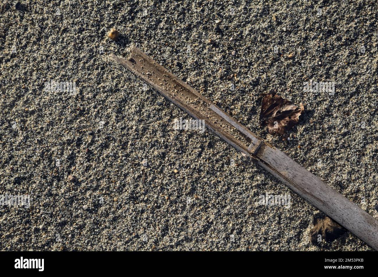 Broken cane on the sand seen up close Stock Photo - Alamy