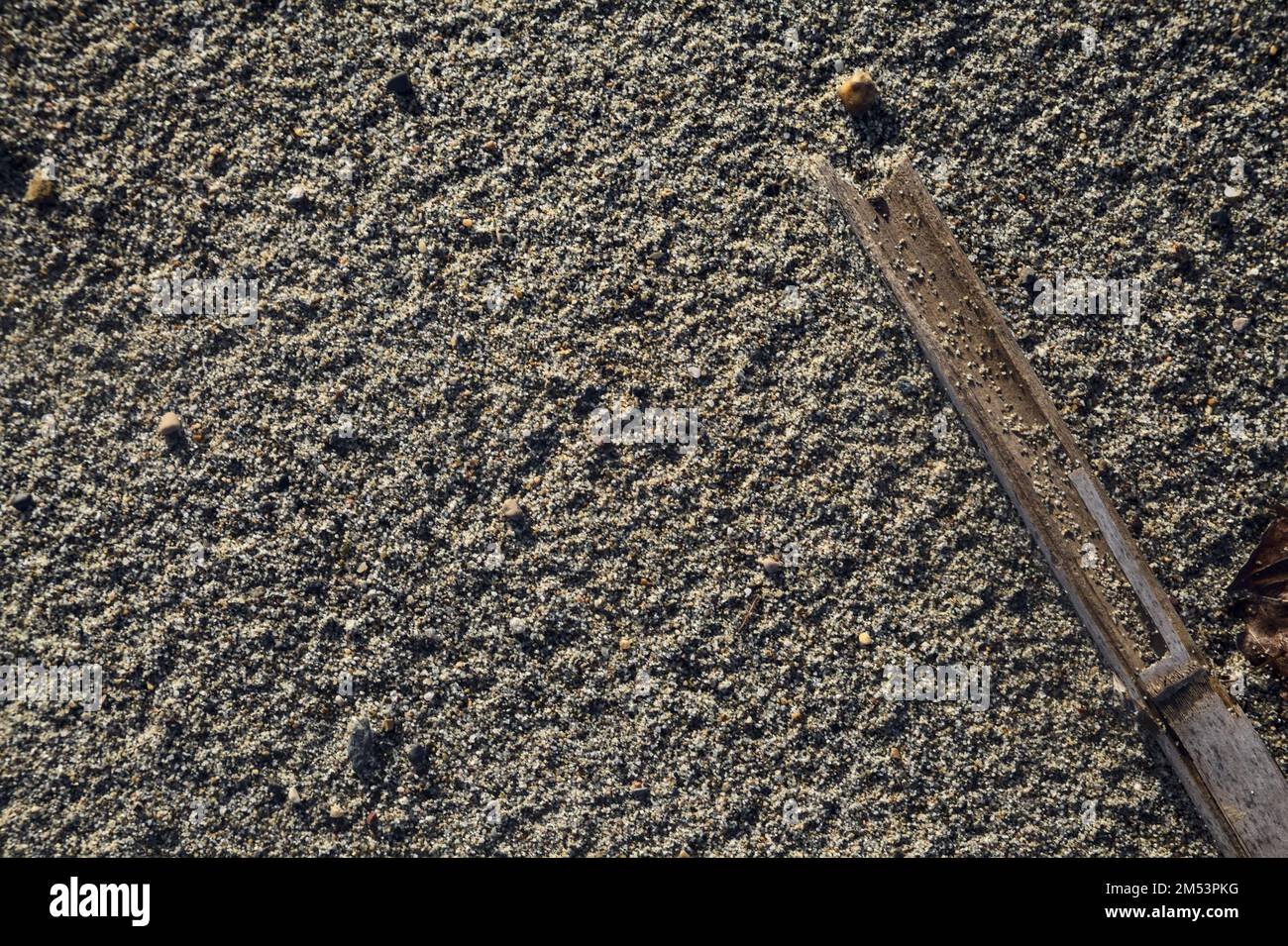 Broken cane on the sand seen up close Stock Photo - Alamy