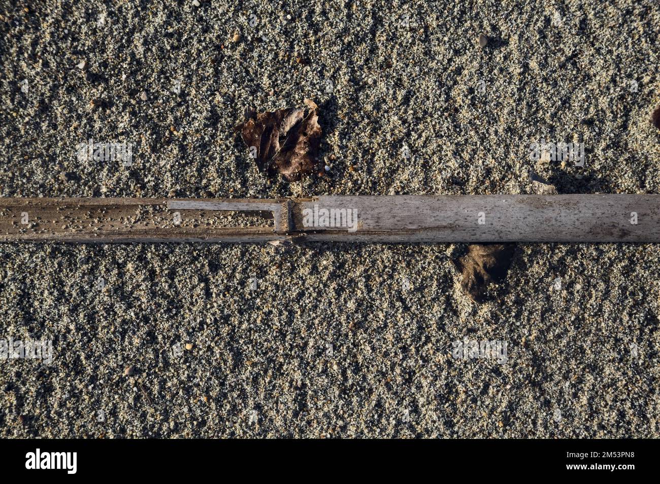 Broken cane on the sand seen up close Stock Photo - Alamy
