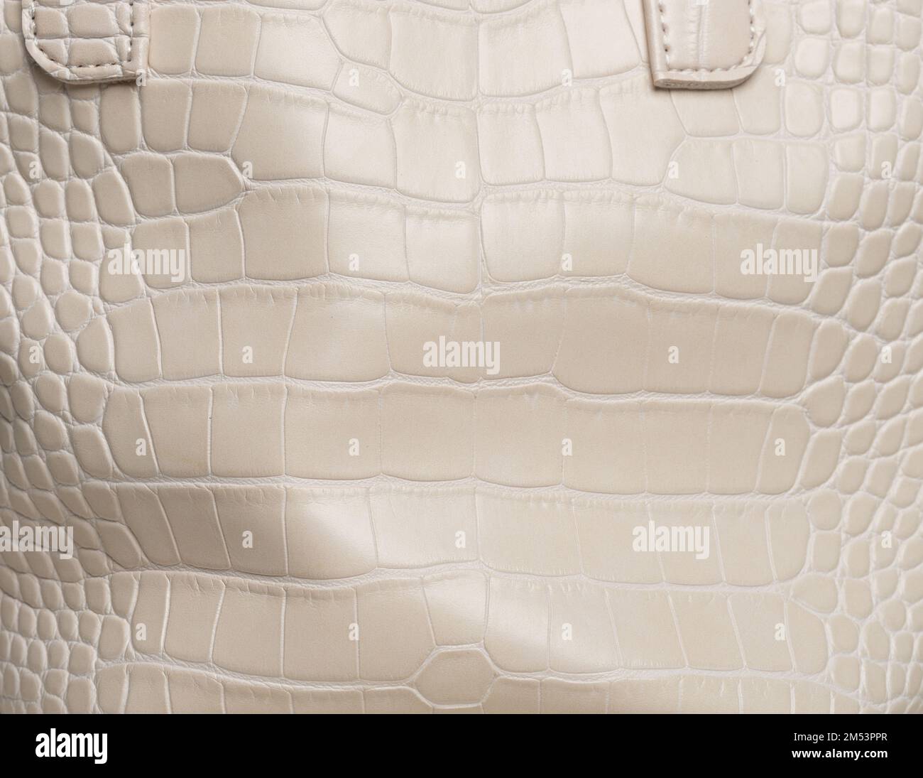 Cells of crocodile skin background macro close up view Stock Photo - Alamy
