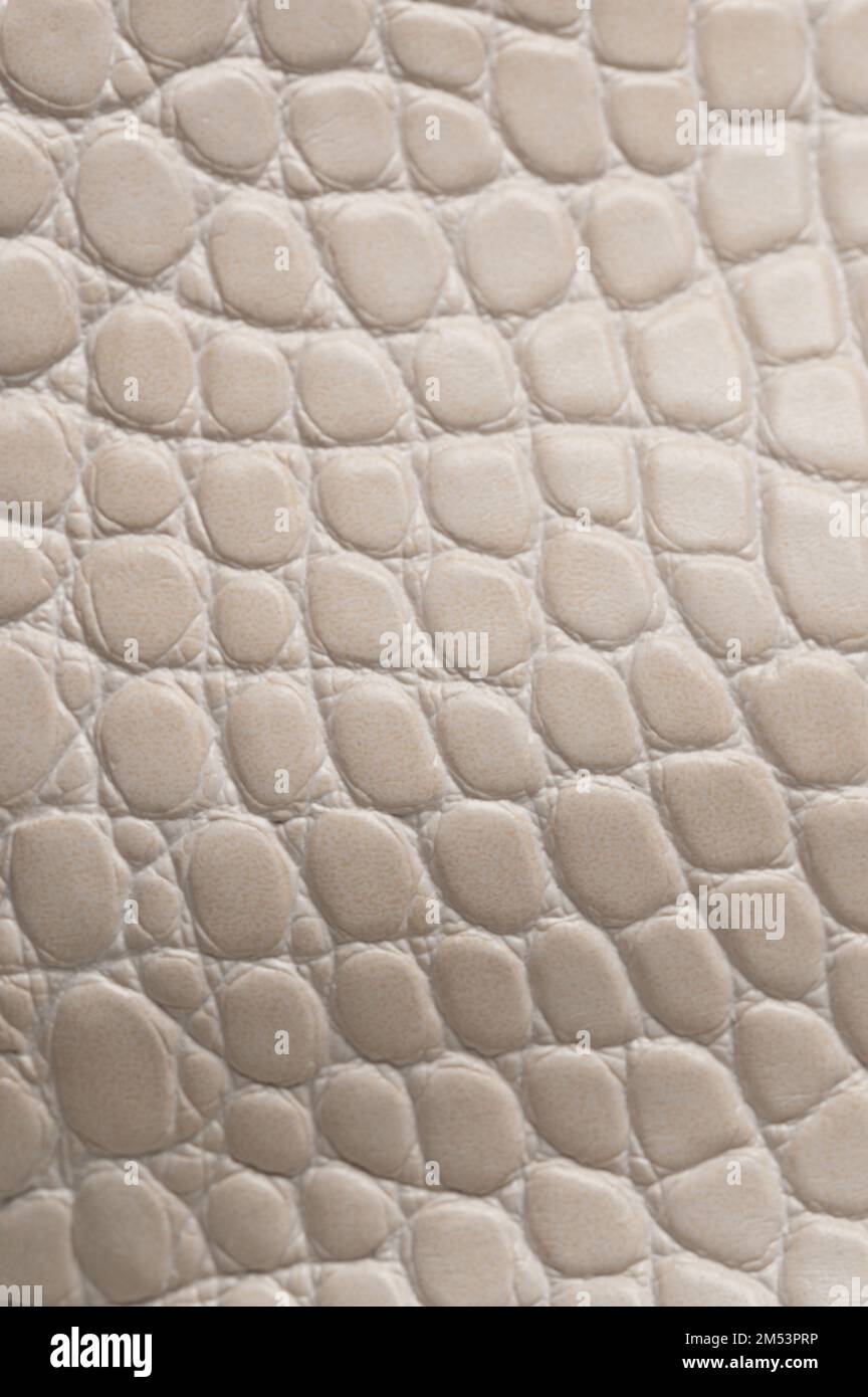 Beige color snake skin macro close up view Stock Photo - Alamy