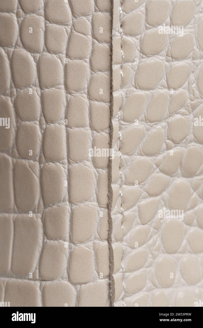 Stitches on white leather texture macro close up view Stock Photo - Alamy