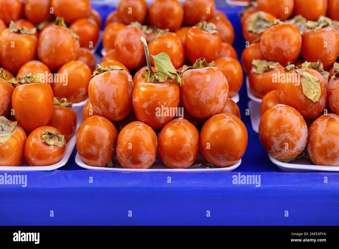 Diospyros kaki, the Oriental persimmon, Chinese persimmon, Japanese ...