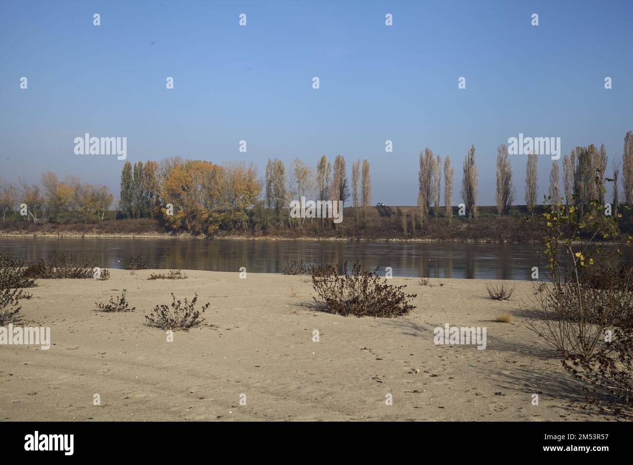 Road with cypresses on an embankment by a river with its reflection on ...