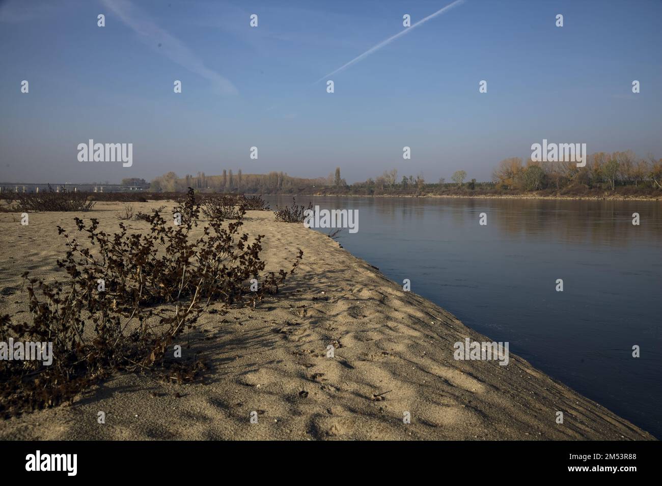 Road with cypresses on an embankment by a river with its reflection on ...