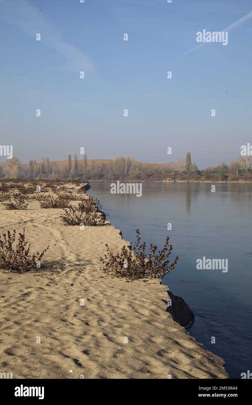 Road with cypresses on an embankment by a river with its reflection on ...