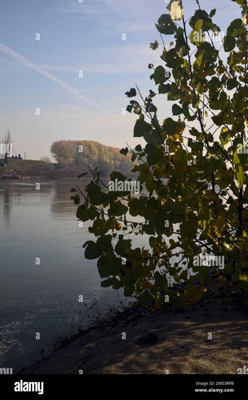 Bell tower next to the riverside behind an embankment framed by plants ...