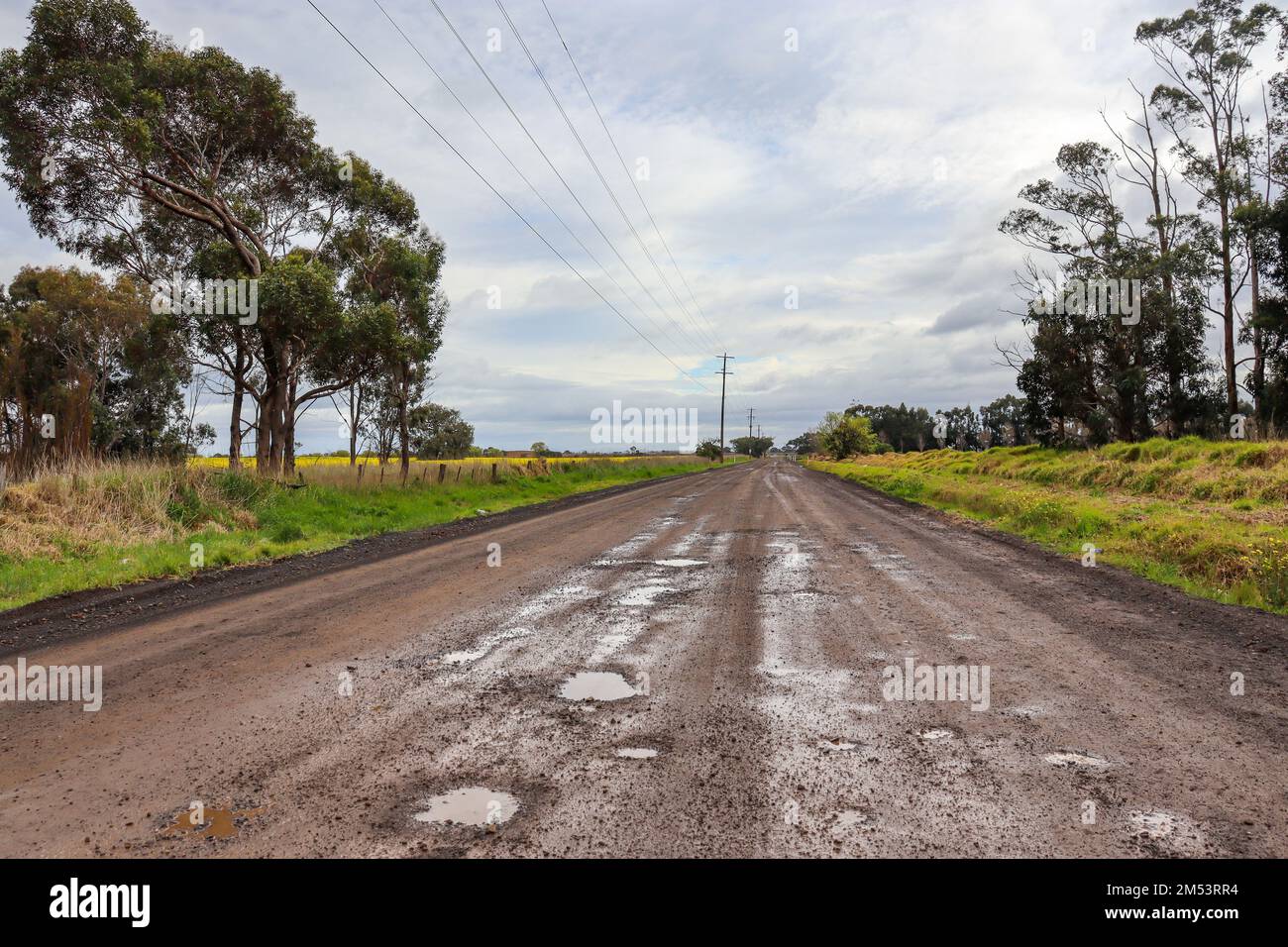 A scenic view of a muddy road after the rain in a rural area in cloudy ...