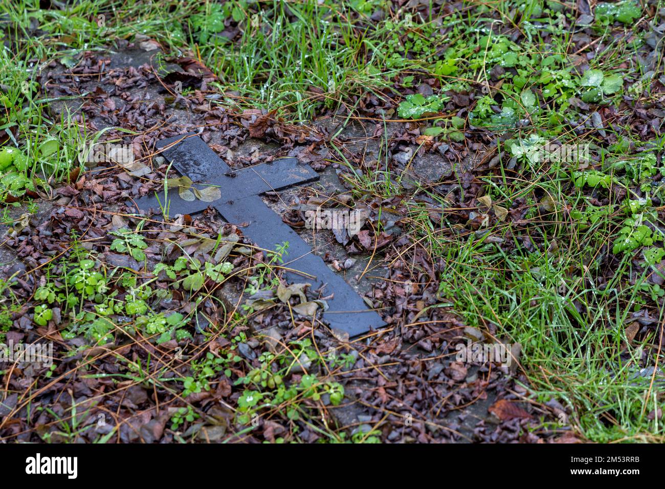 Remains of tombstones on an abandoned and neglected cemetery. National ...