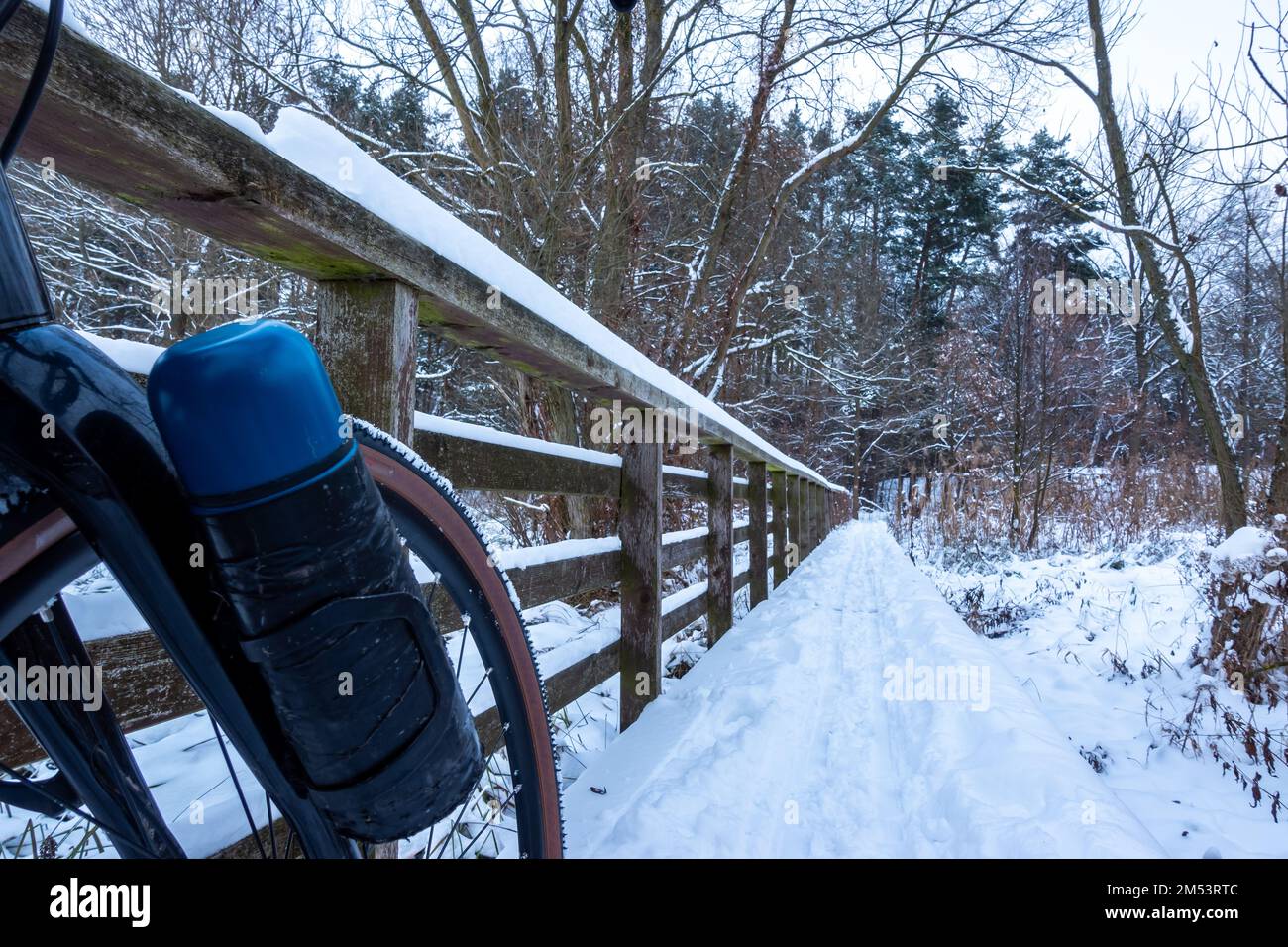A winter ride on a gravel bike along heavily snow-covered forest paths ...