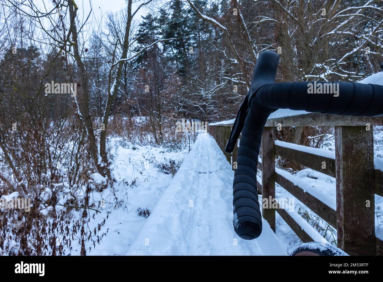 A winter ride on a gravel bike along heavily snow-covered forest paths ...