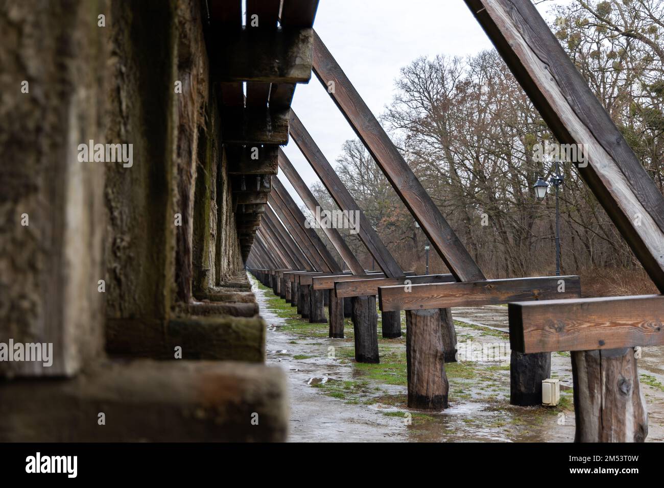 Construction of a wooden graduation tower. Close-up of the supporting ...