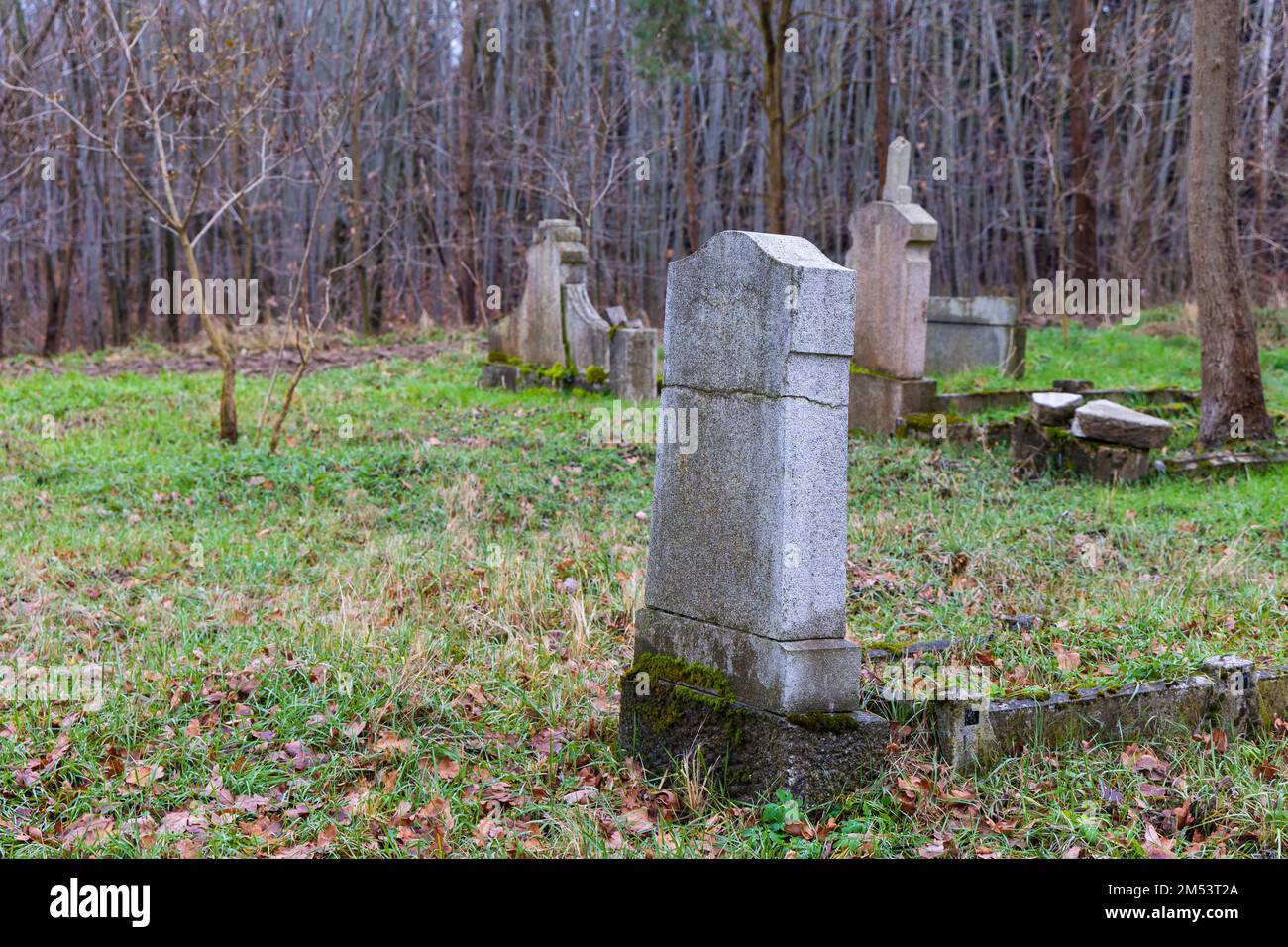 Remains of tombstones on an abandoned and neglected cemetery. National ...