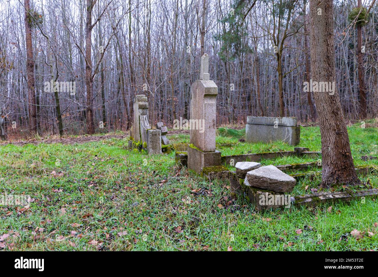 Remains of tombstones on an abandoned and neglected cemetery. National ...