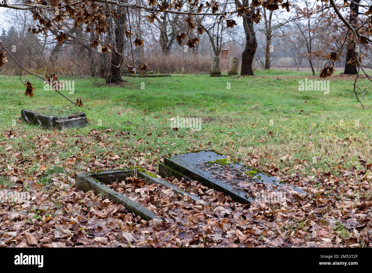 Remains of tombstones on an abandoned and neglected cemetery. National ...