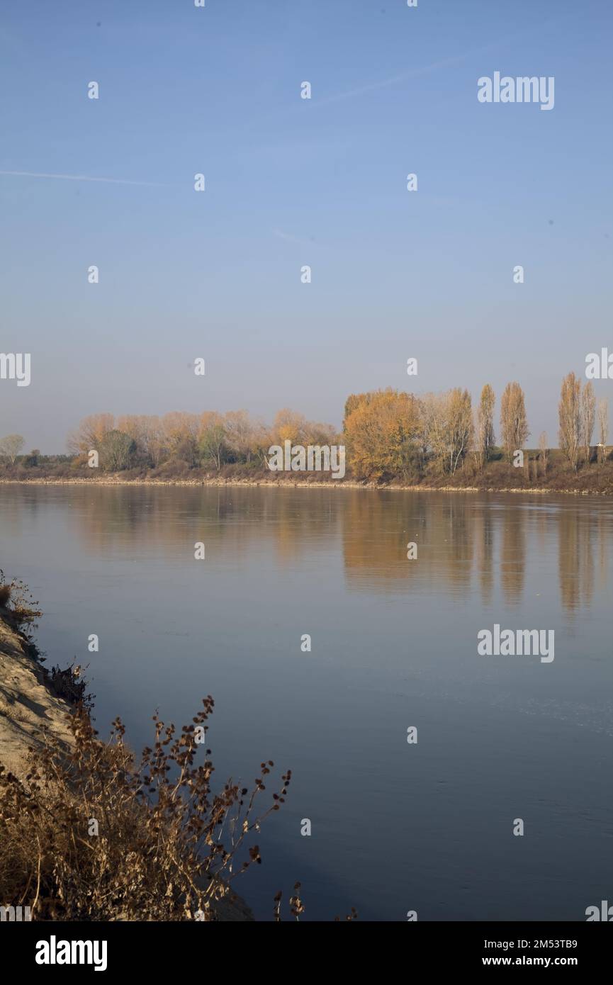 Road with cypresses on an embankment by a river with its reflection on ...
