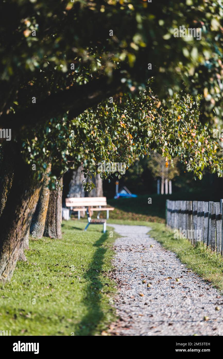 Beautiful pathway with trees Stock Photo - Alamy