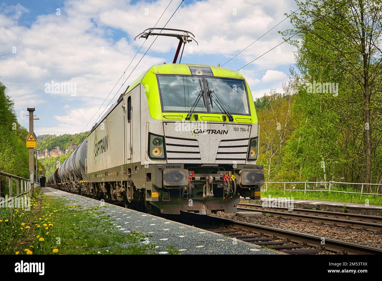 A yellow freight train on the railway with a forest in the background ...