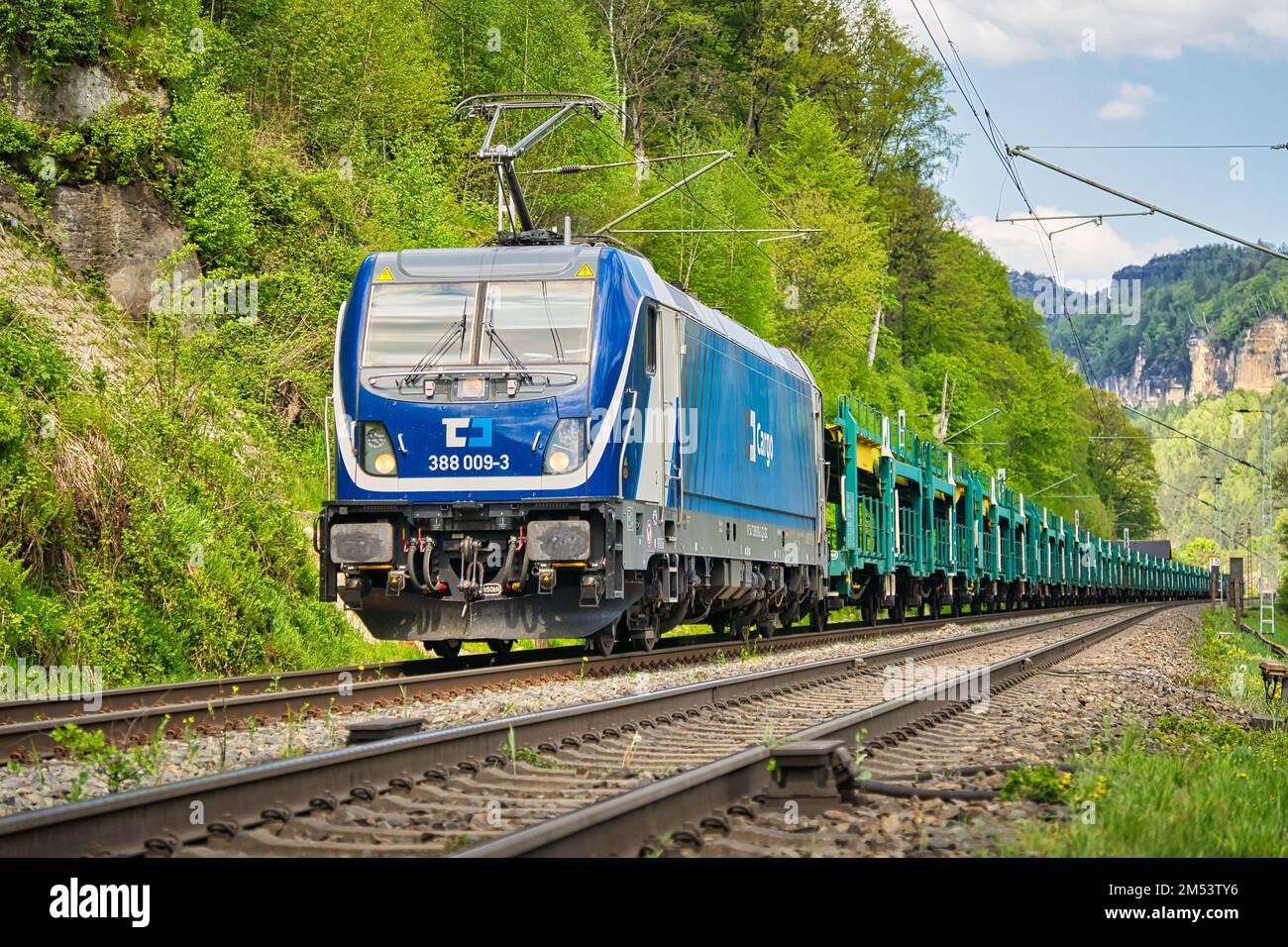 A blue freight train on the railway with a forest in the background ...