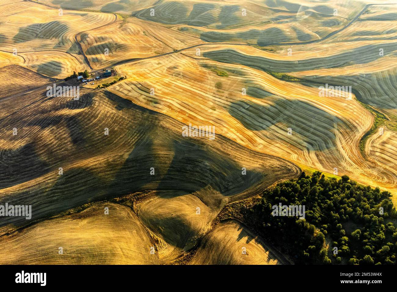 An aerial shot of golden wheat fields in the rolling hills of the ...