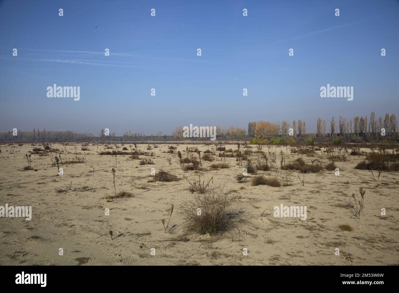 Sandy riverside with tracks and bushes with forests in the background ...