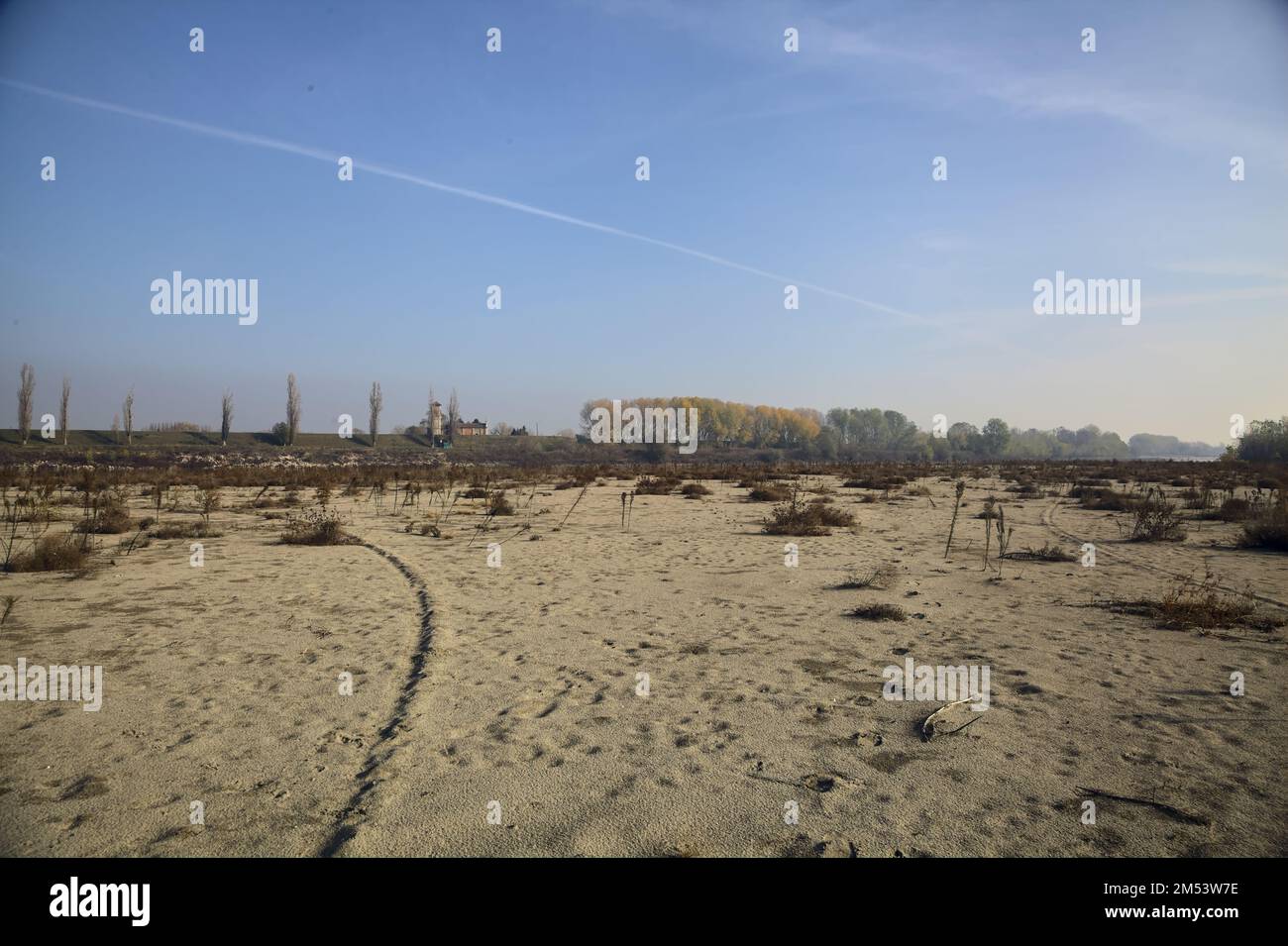 Sandy riverside with tracks and bushes with forests in the background ...