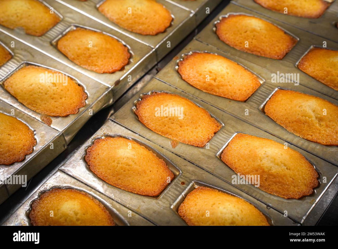 Madeleines desert hi-res stock photography and images - Alamy