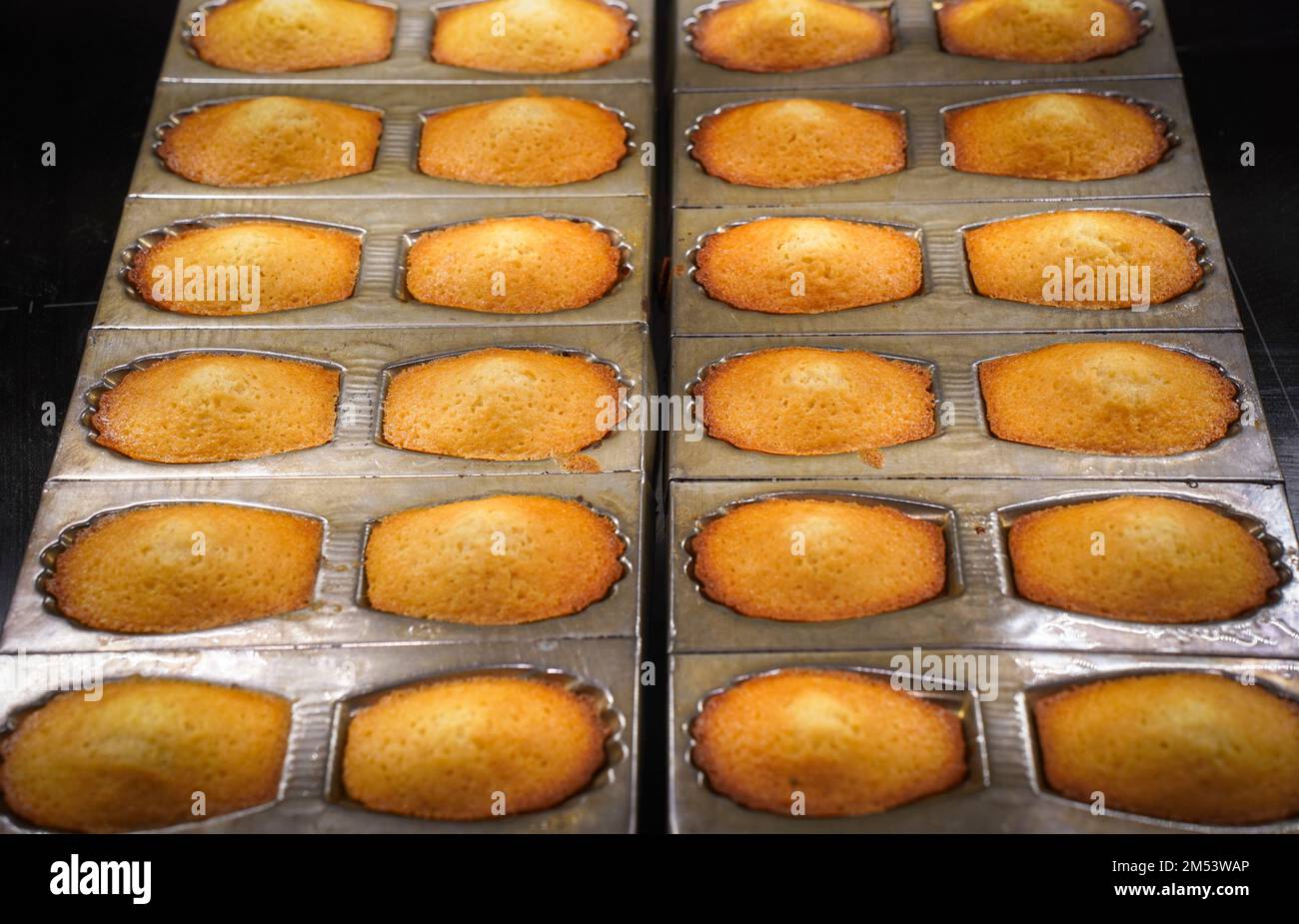 Madeleine, in their shell shaped containers just out of the oven in a ...