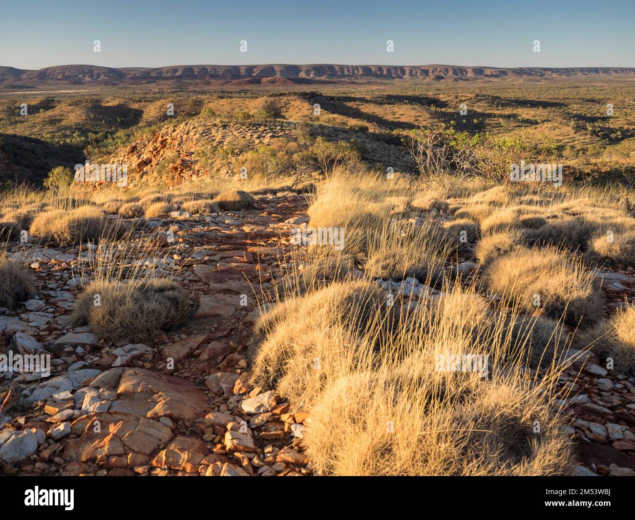 Rutjupma hi-res stock photography and images - Alamy