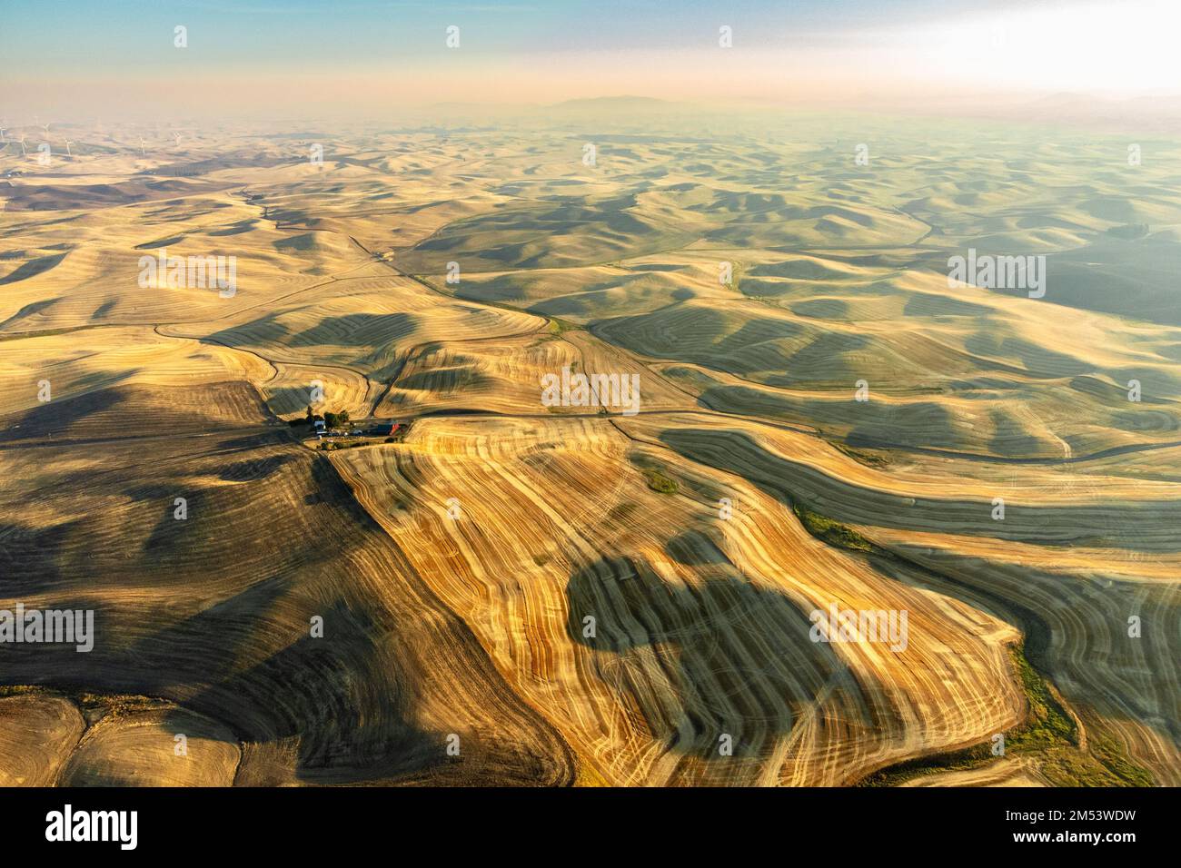 An aerial shot of golden wheat fields in the rolling hills of the ...