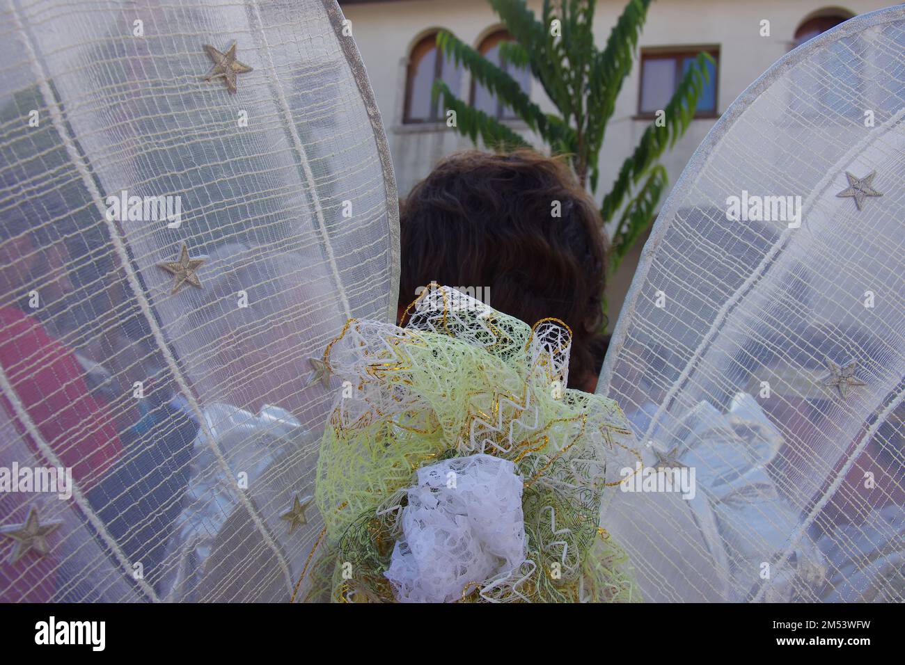 Guardia Sanframondi (BN) Campania - Every seven years the traditional ...