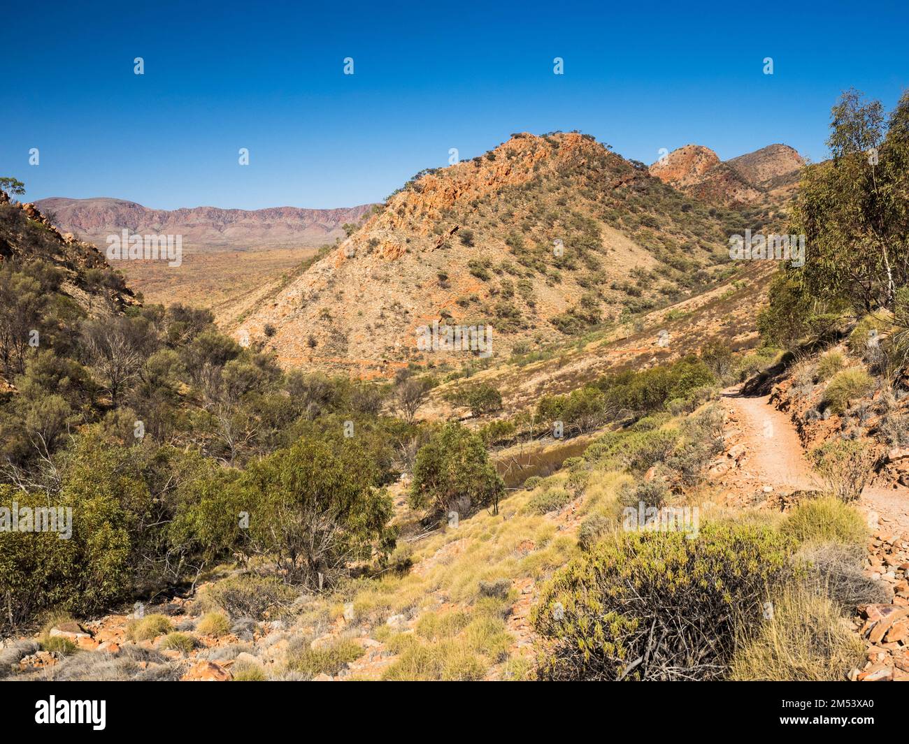 The Pound Walk descends through a dry, scrubby canyon offering a ...