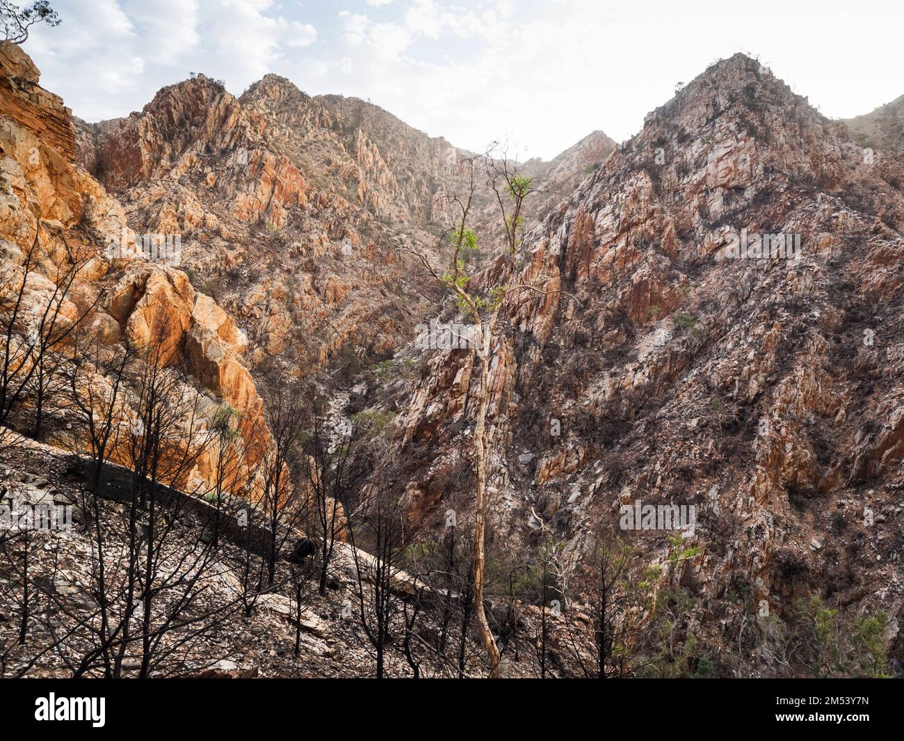 Wild jagged peaks above Standley Chasm on Section 3 of the Larapinta ...
