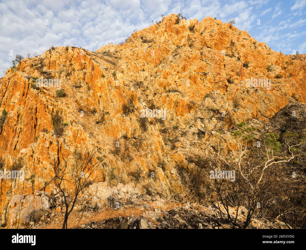 Wild jagged peaks and burnt trees above Standley Chasm on Section 3 of ...