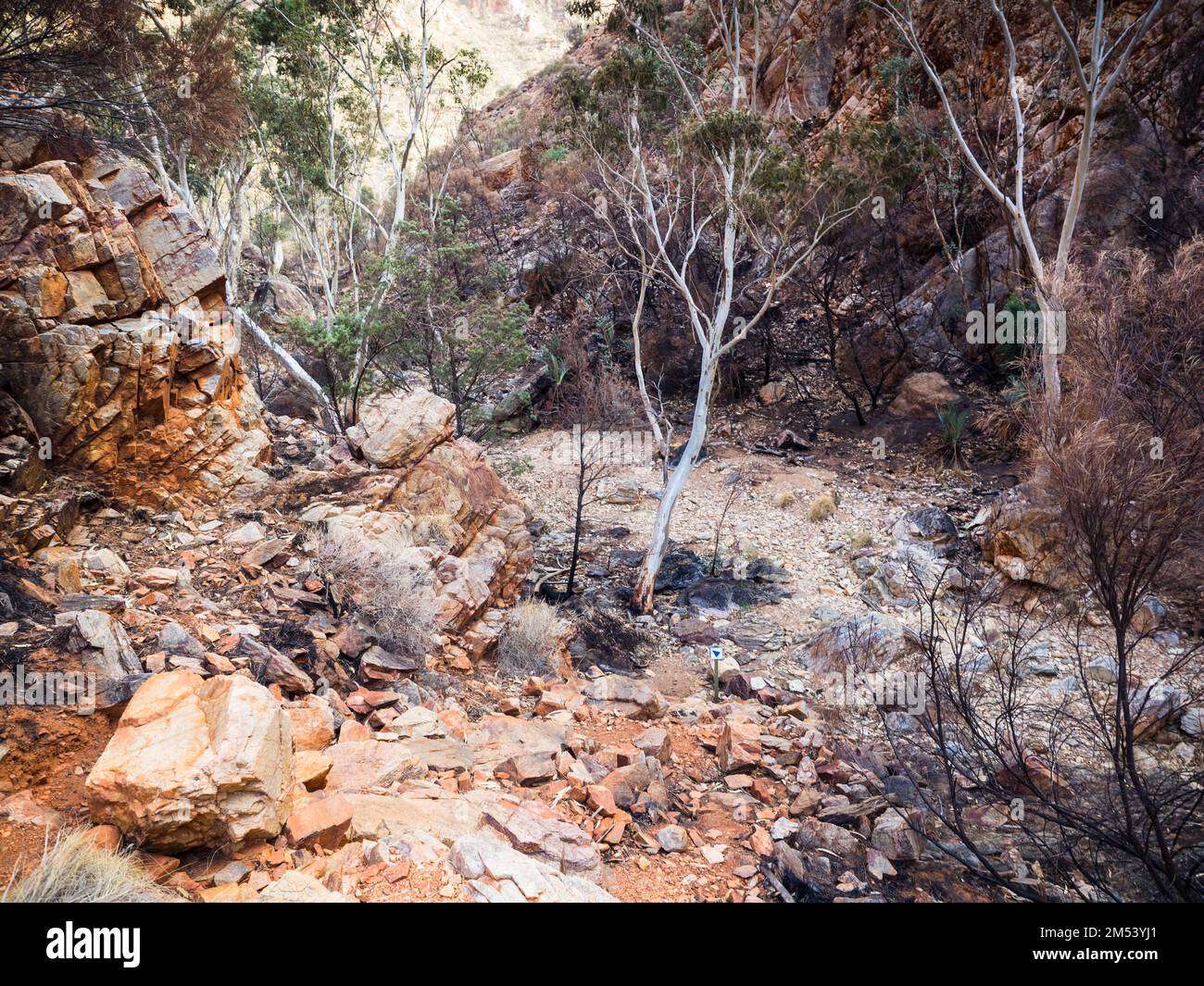 Dry Upper Angkerle Creek on Section 3 of the Larapinta Trail above ...